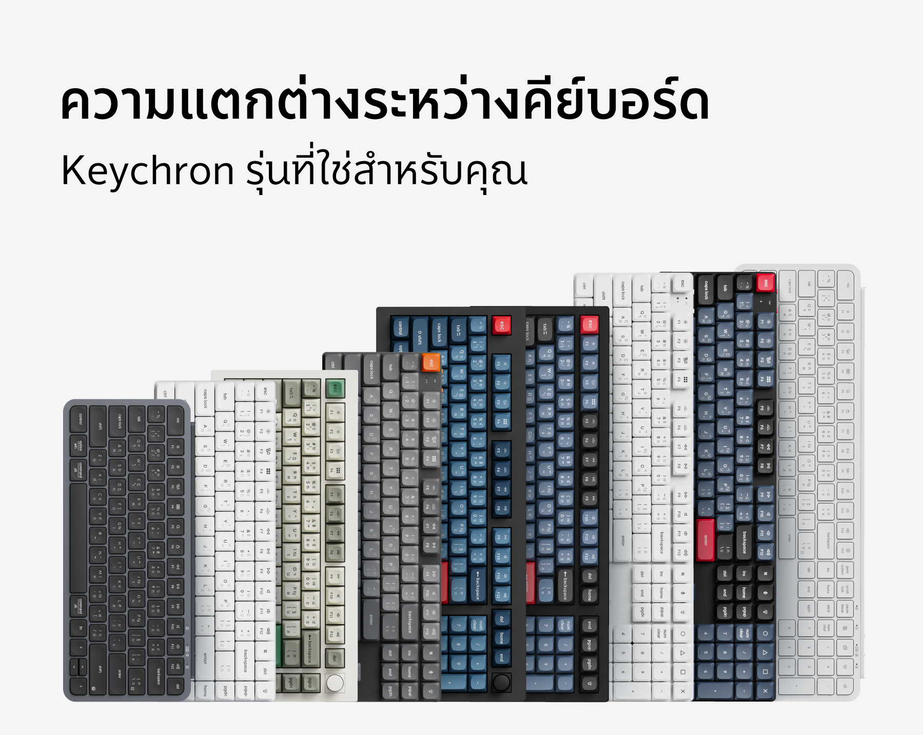 ความแตกต่างระหว่างคีย์บอร์ด Keychron : เลือกคีย์บอร์ดที่ใช่สำหรับคุณ ...