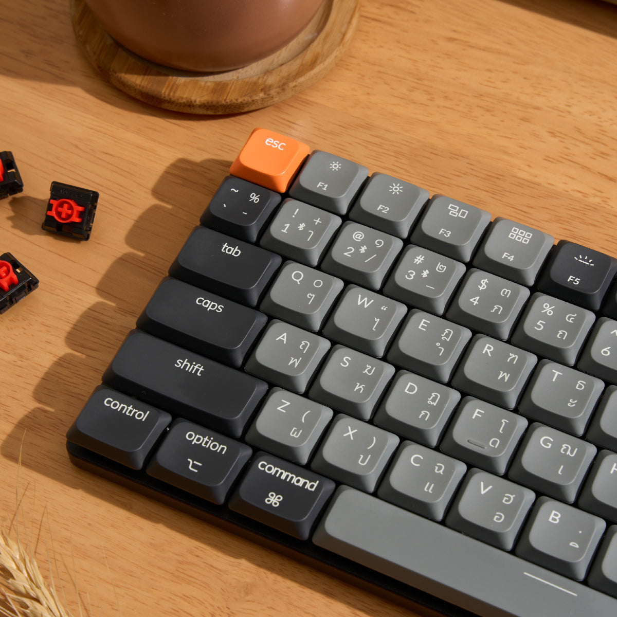 ล็อคสีไฟ Rgb Keyboard เฉพาะปุ่มด้วย Per-Key RGB | Keychron Thailand