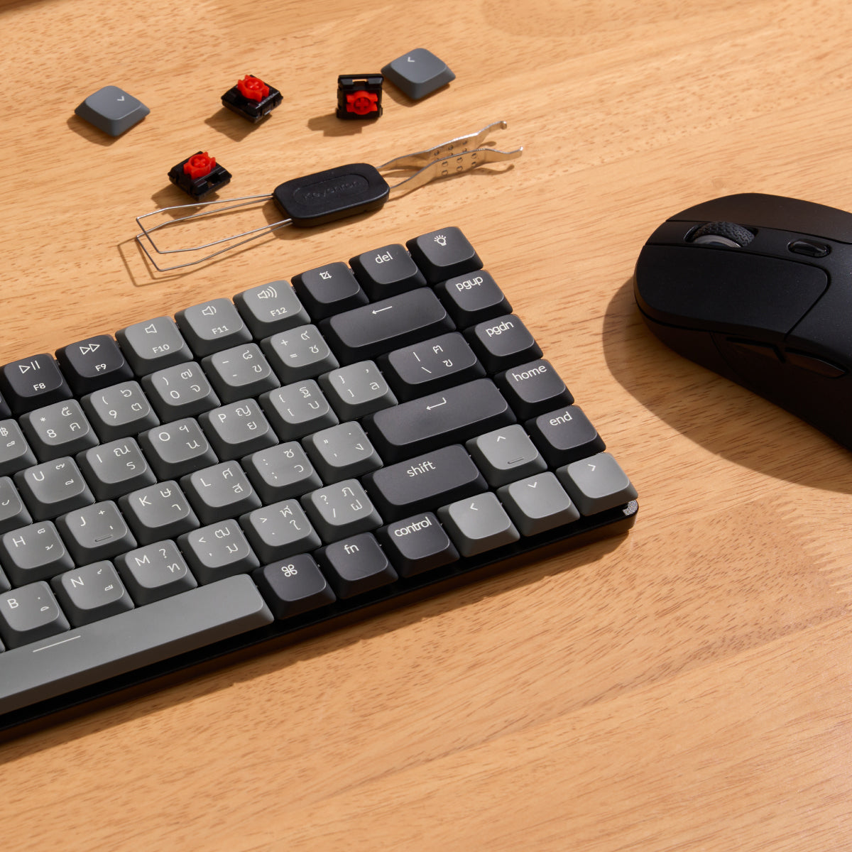 Shine Through Keycaps คืออะไร? เลือกยังไงให้ได้ ไฟลอดสวยๆ | Keychron ...